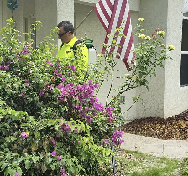 The Bug Cowboy – Pest Control Professionals