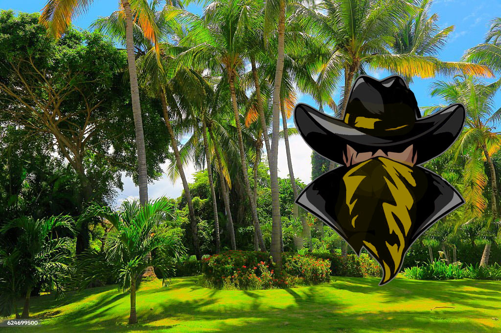 The Bug Cowboy – Pest Control Professionals